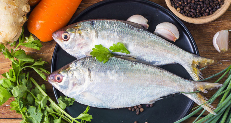 A Taste of Early America: To Bake a Shad | Washington Crossing Historic ...